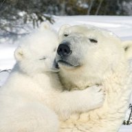 DIY speaker cable risers | HiFiVision.com